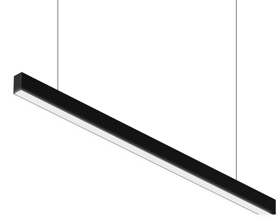 Neptune Lights – Neptune Lights